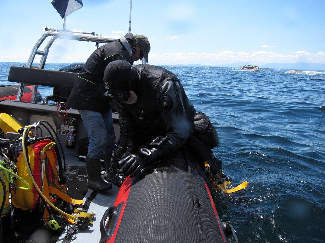 Dive Boats: Exploring the Depths Like Never Before